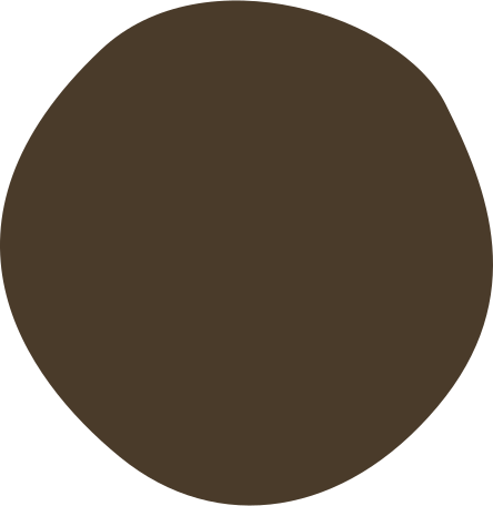Brown circle Illustration in PNG, SVG