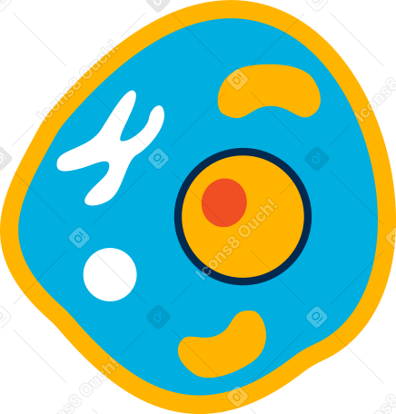 Human cell Illustration in PNG, SVG