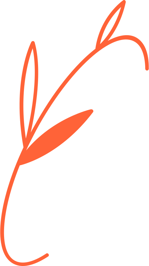 Liane Illustration in PNG, SVG