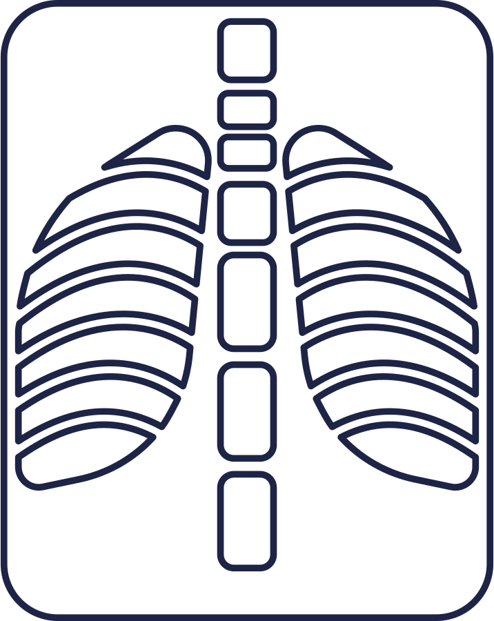 style x ray Vector images in PNG and SVG | Icons8 Illustrations
