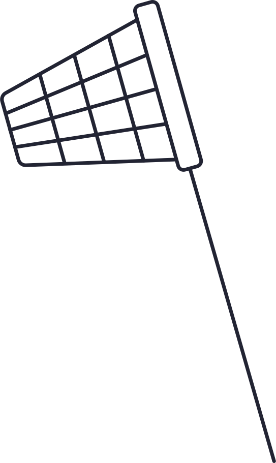 Net Illustration in PNG, SVG