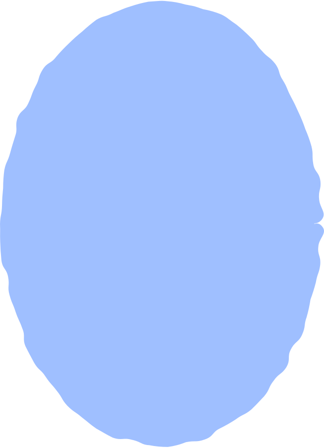 style ellipse light blue Vector images in PNG and SVG | Icons8 ...