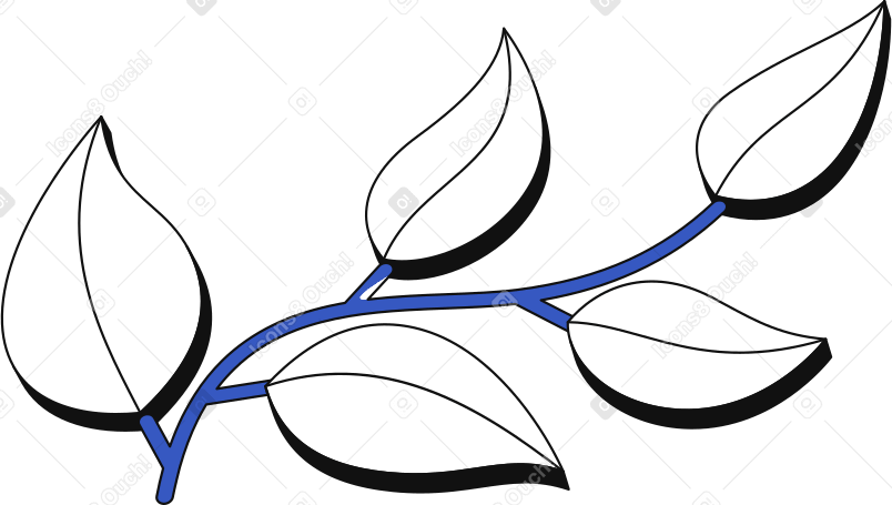 Sprig with leaves Illustration in PNG, SVG