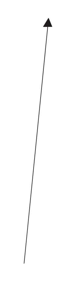 Arrow vertical Illustration in PNG, SVG