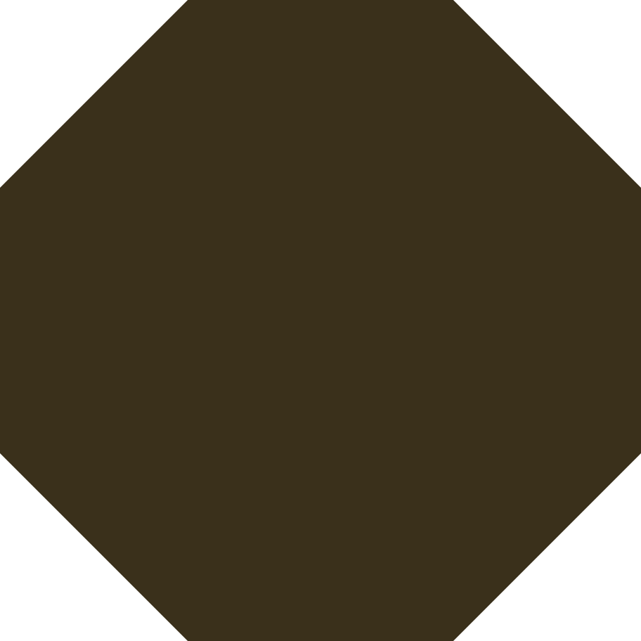 Brown octagon Illustration in PNG, SVG