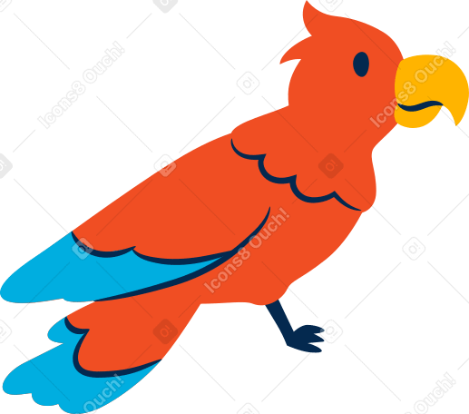Papagei Grafik als PNG, SVG