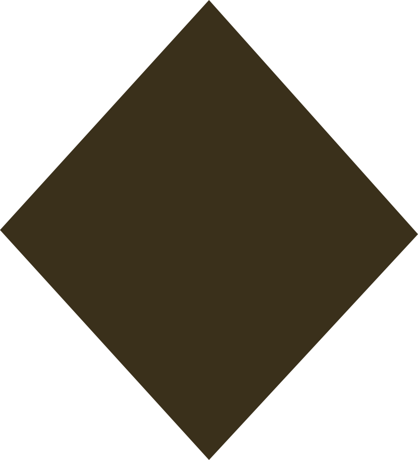 Brown rhombus Illustration in PNG, SVG