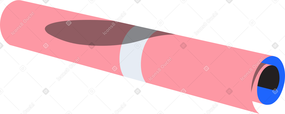 Diploma roll PNG, SVG