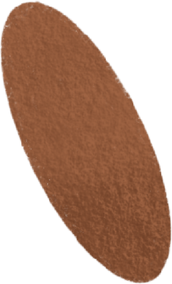 Brown oval Illustration in PNG, SVG