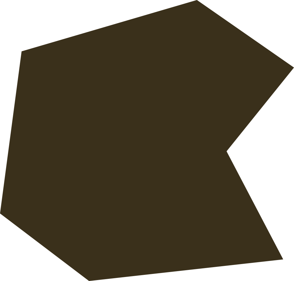 Brown polygon Illustration in PNG, SVG