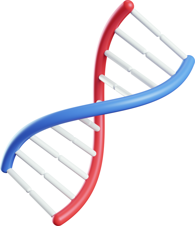 Red and blue dna Illustration in PNG, SVG