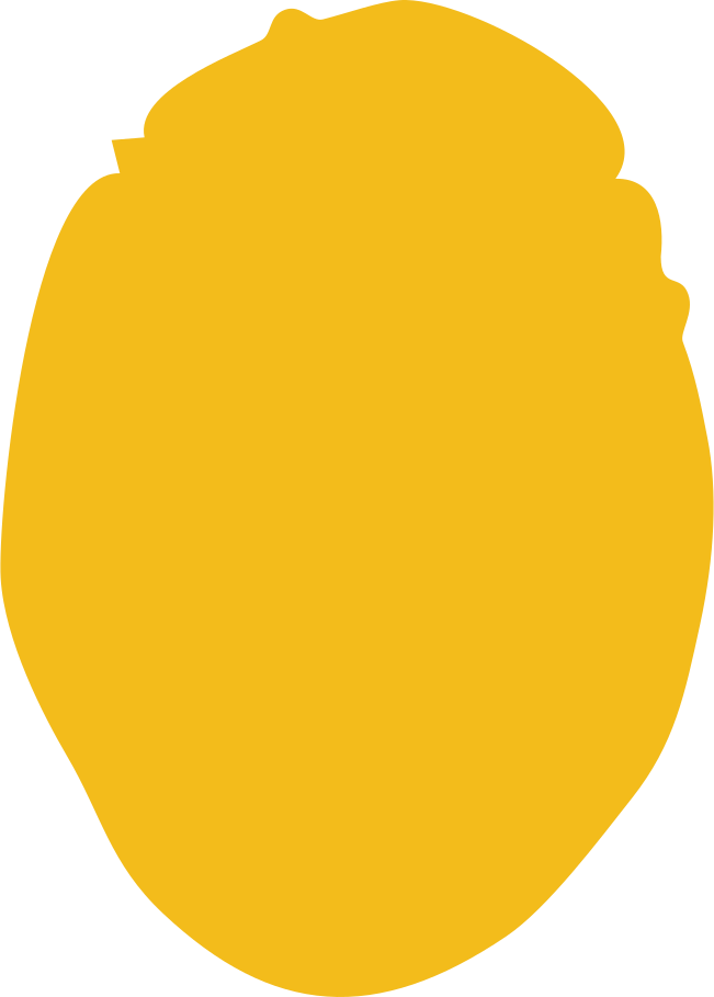 Yellow ellipse Illustration in PNG, SVG