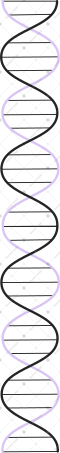 Molecular chain diagram PNG, SVG