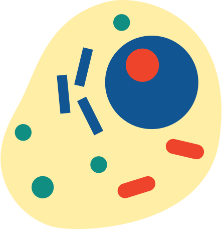 Human cell Illustration in PNG, SVG