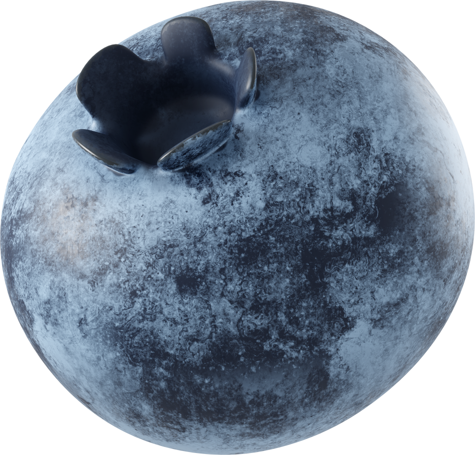 Blueberry Illustration in PNG, SVG