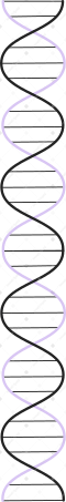 Molecular chain diagram Illustration in PNG, SVG