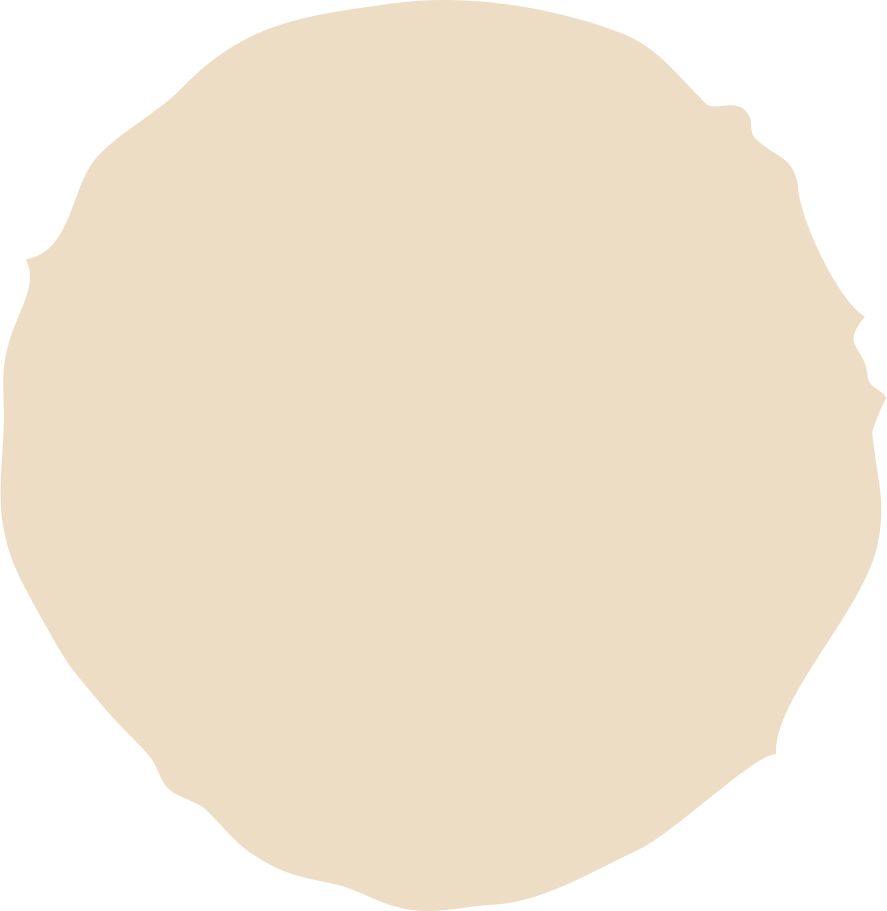 Beige circle Illustration in PNG, SVG