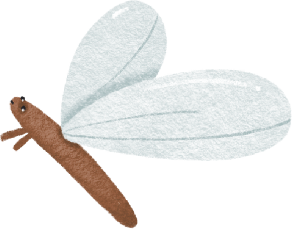 Midge Illustration in PNG, SVG