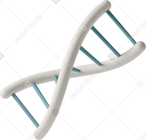 3D dna Illustration in PNG, SVG