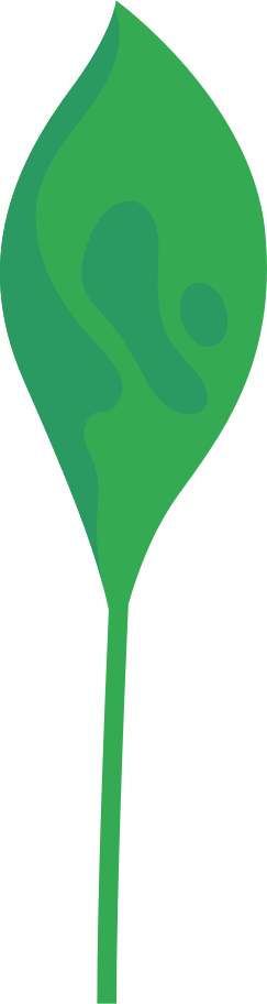 Green big leaf Illustration in PNG, SVG