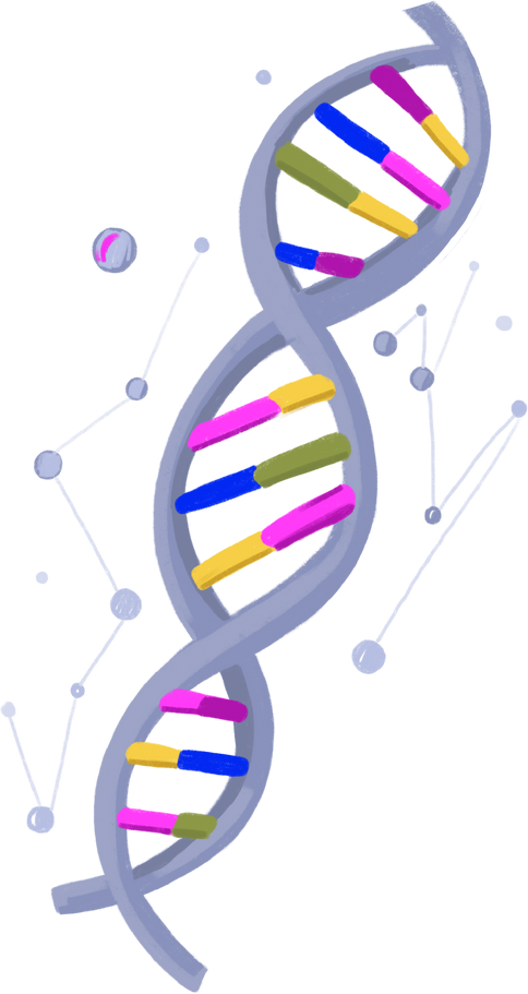 Dna Illustration in PNG, SVG