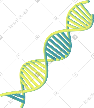 Dna chain PNG, SVG