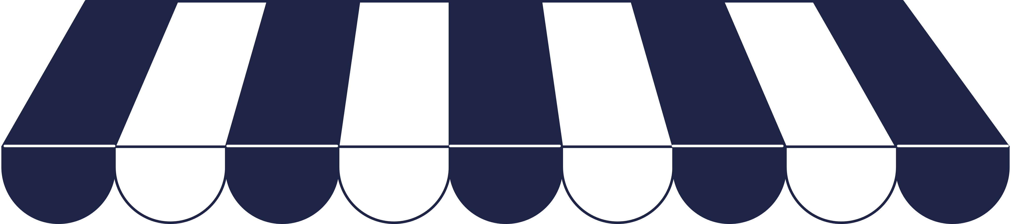 Canopy Illustration in PNG, SVG