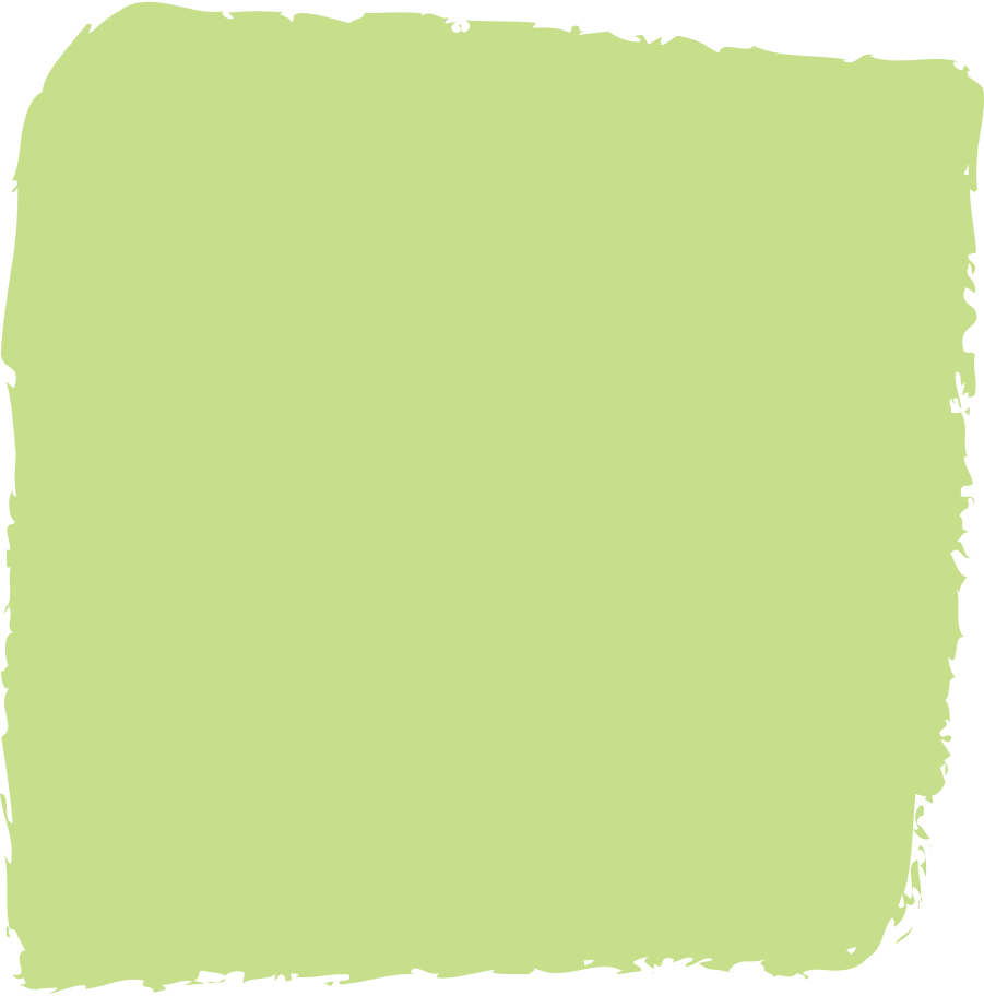 Light green square Illustration in PNG, SVG