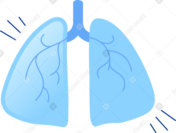 Clear blue lungs Illustration in PNG, SVG